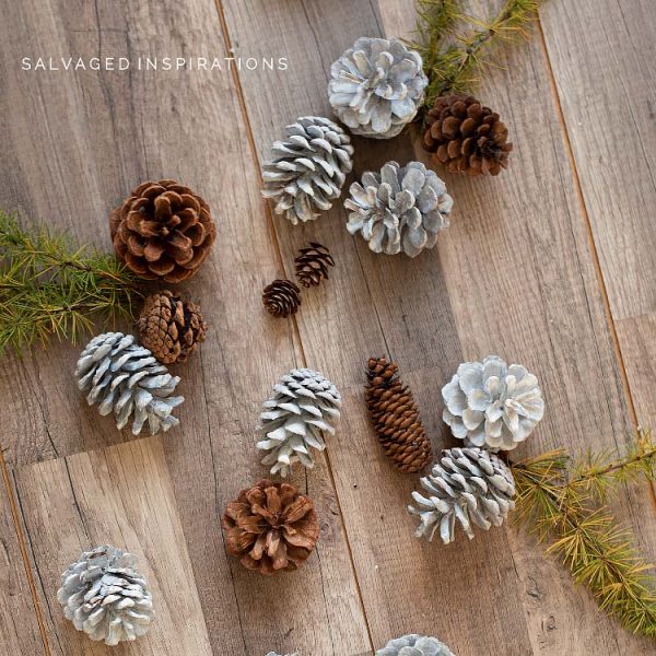 Bleached Pinecones with NO Bleach - Salvaged Inspirations