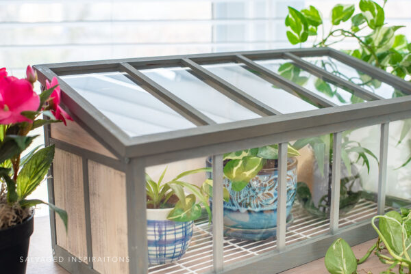 DIY Wood Terrarium Makeover - Salvaged Inspirations