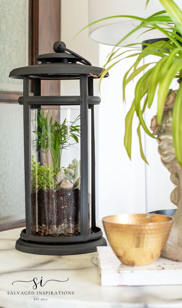How To Make An EASY DIY Terrarium - Salvaged Inspirations
